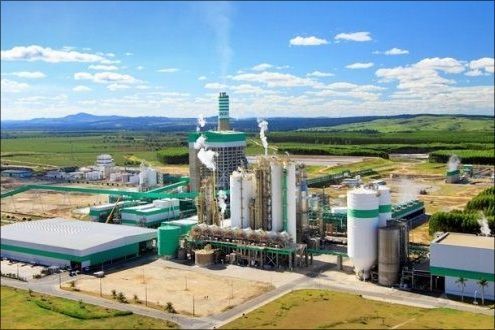 Veracel Celulose atualiza plataforma "Da Bahia para o Mundo" | aGazeta ...