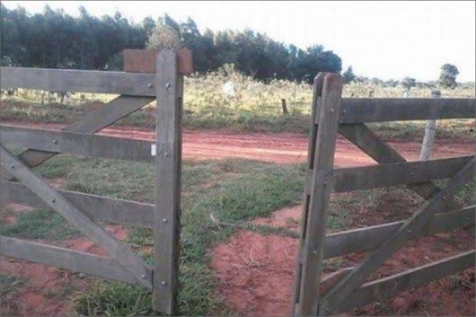 Terror pavor e medo no campo | aGazeta Bahia